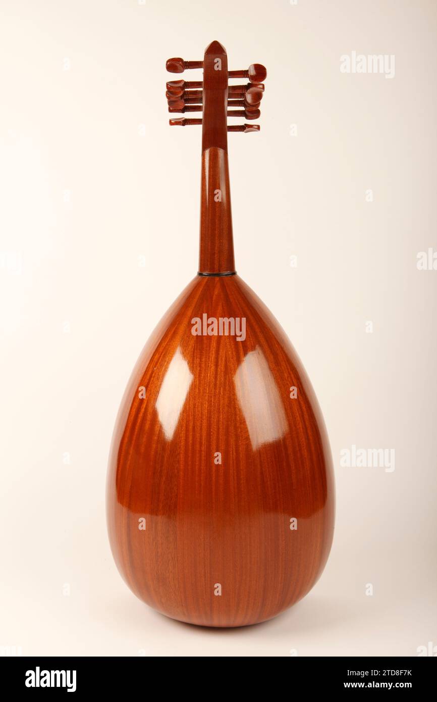 Egyptian Oud. 11 string with highly decorated soundholes. String ...