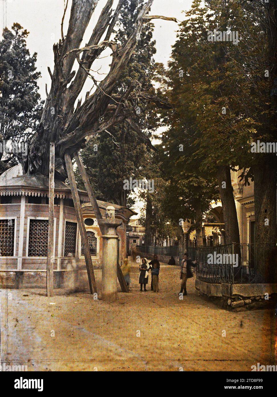 Constantinople (present-day Istanbul), Turkey Street lined with tombs ...