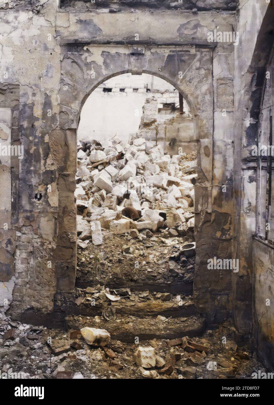 3 marmousets hi-res stock photography and images - Alamy