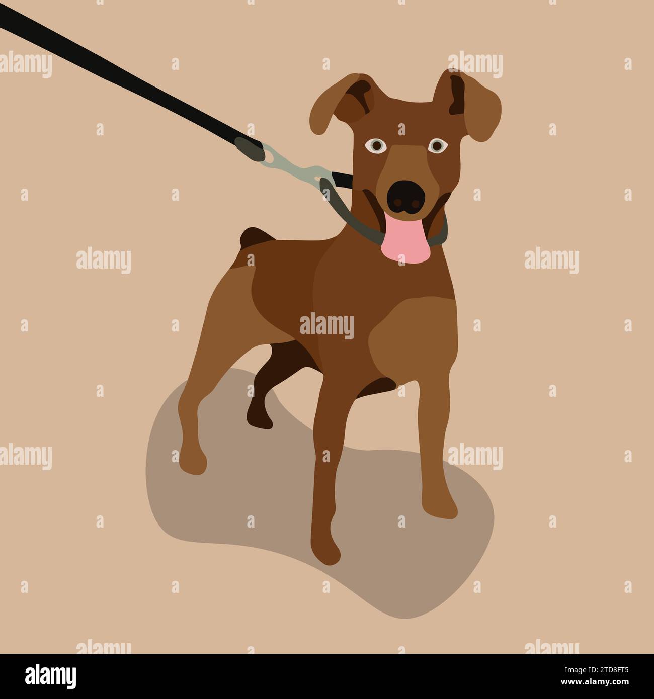 Vector isolated illustration of a miniature pinscher dog Stock Vector ...