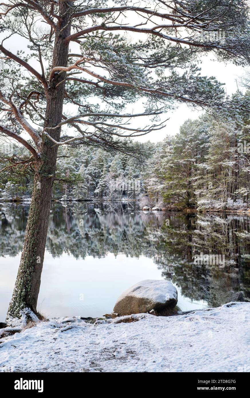 Rock garten hi-res stock photography and images - Alamy