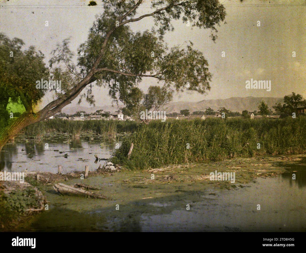 Da ming lake hou hi-res stock photography and images - Alamy