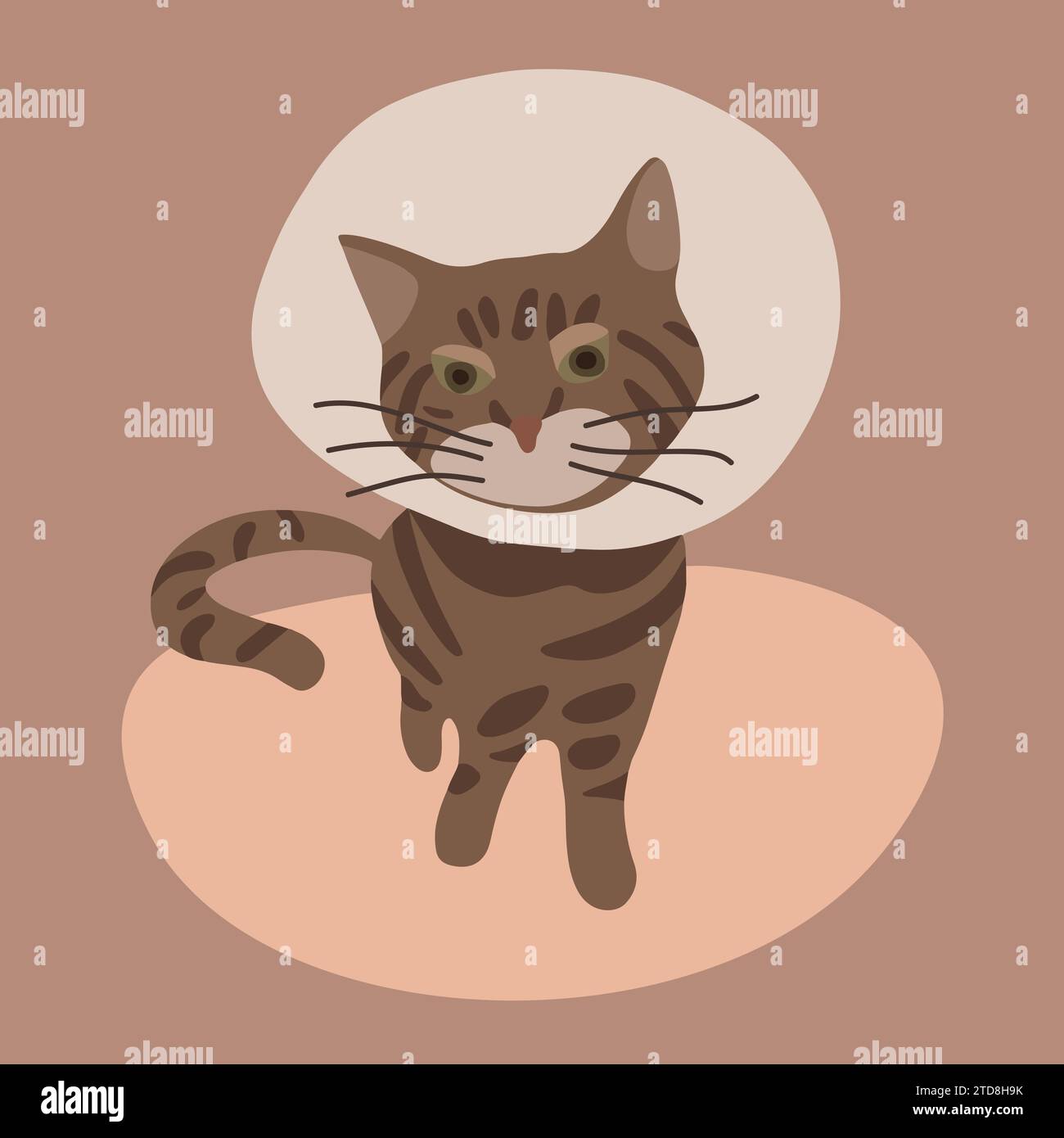 Sick cat at hospital Stock Vector Images - Alamy