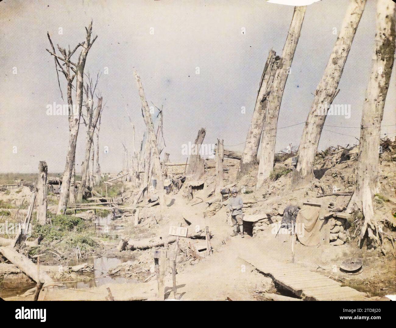 Belgium, Clothing, First World War, Human Beings, Military Uniform ...