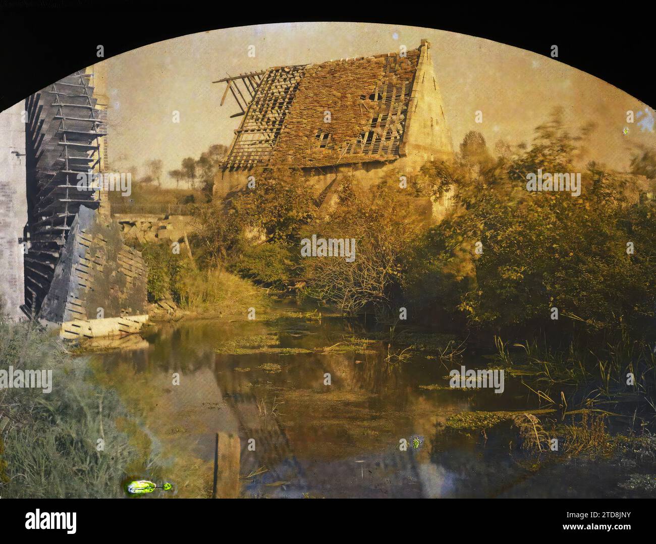 Le Châtelain, France, First World War, Nature, Environment, Habitat ...