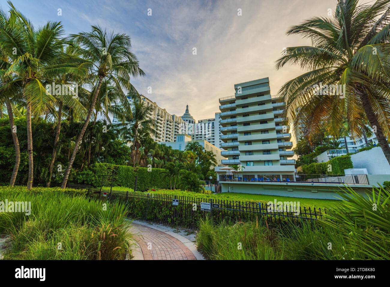 Stunning landscape view of Walking Street, Miami Beach. A green park ...