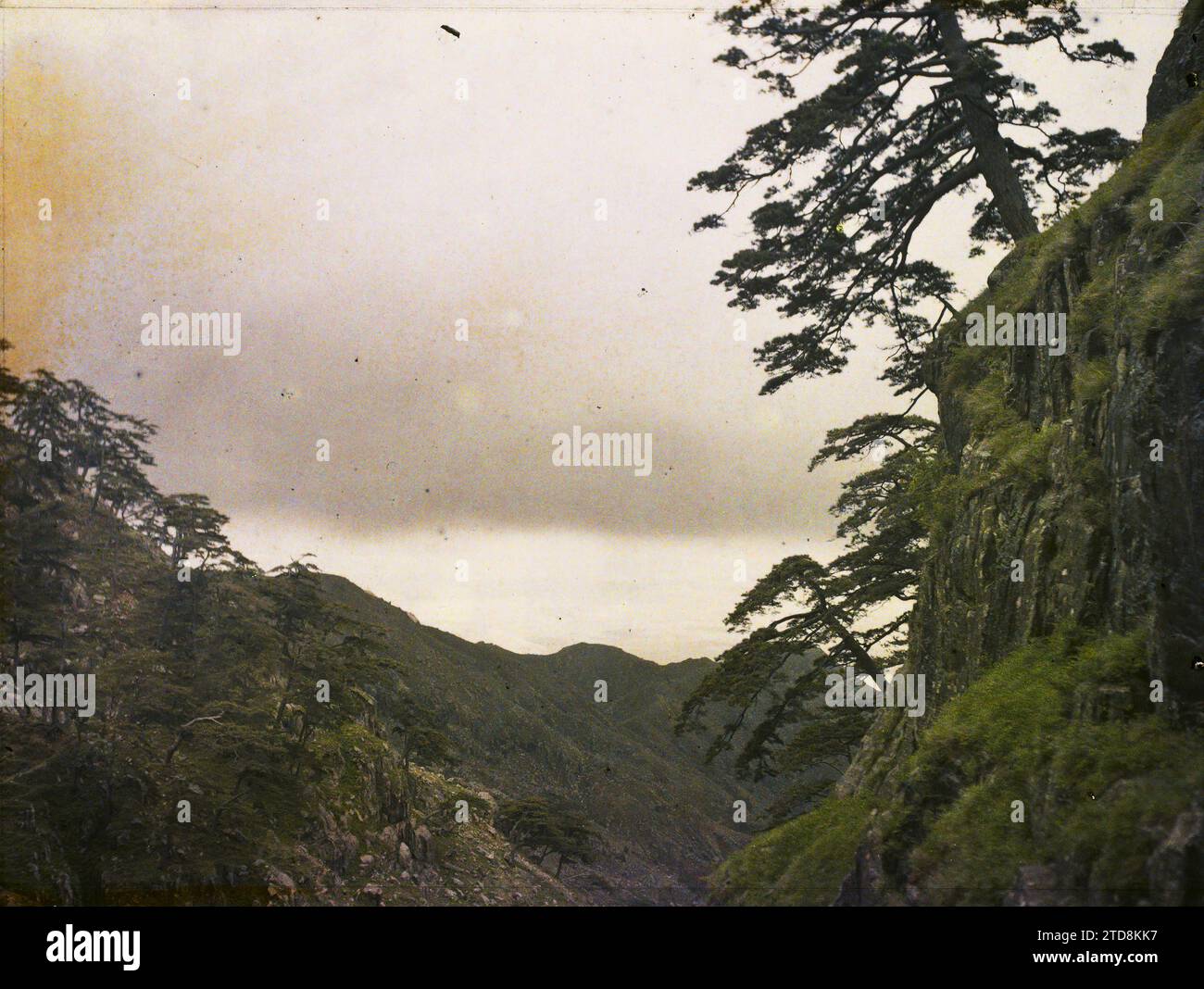 Ten thousand pine mountain hi-res stock photography and images - Alamy