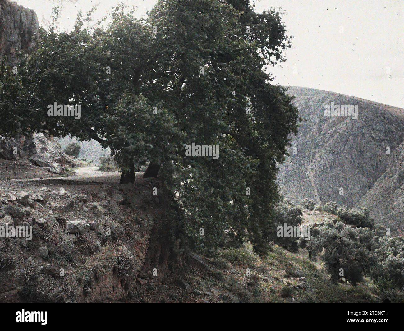 Surroundings of Delphi, Greece Bend in the road to the Arakhova pass ...