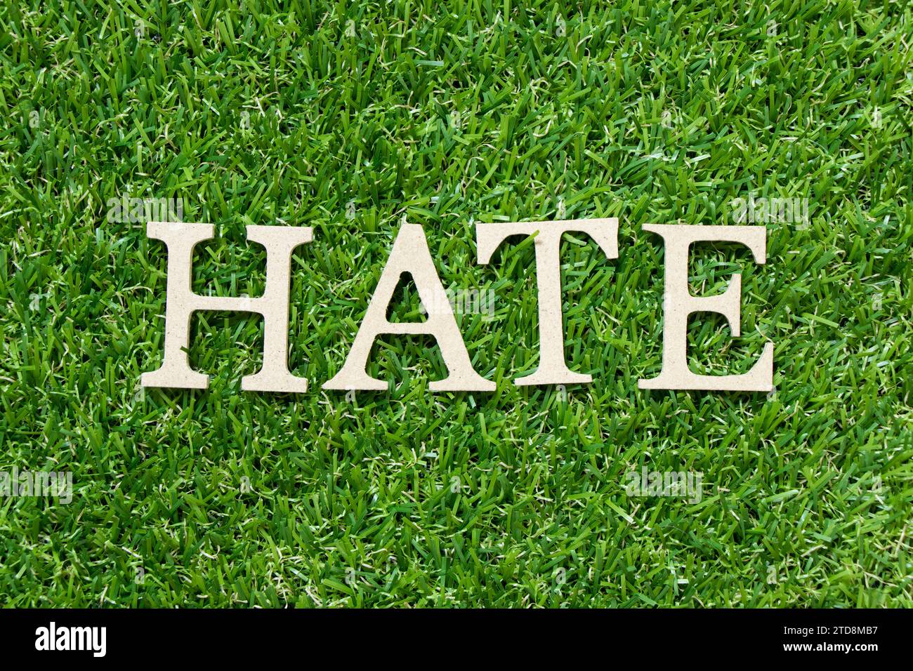 Wood letter in word hate on green grass background Stock Photo - Alamy