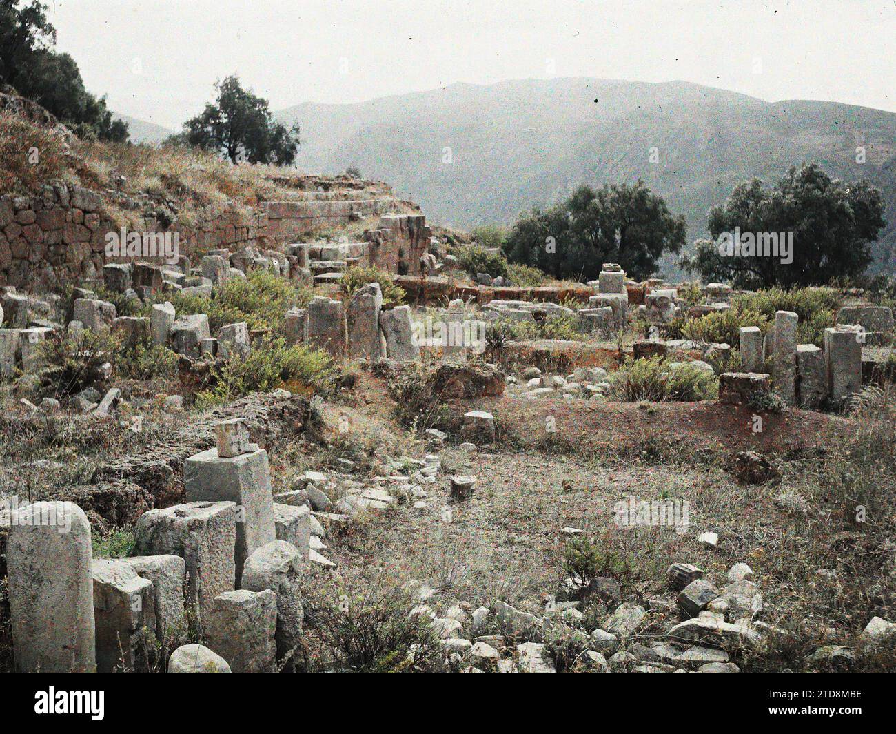 Delphi (archaeological site), Greece Remains of the Gymnasium, Habitat ...