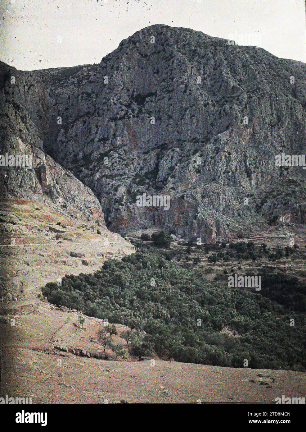 Surroundings of Delphi, Greece On the left, the gorge separating the ...
