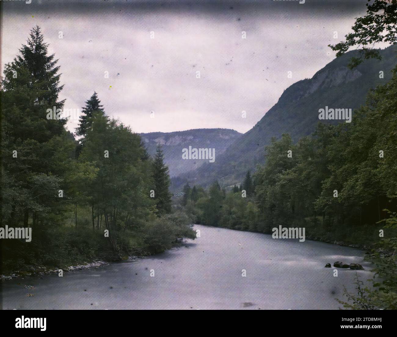 Le gifre hi-res stock photography and images - Alamy