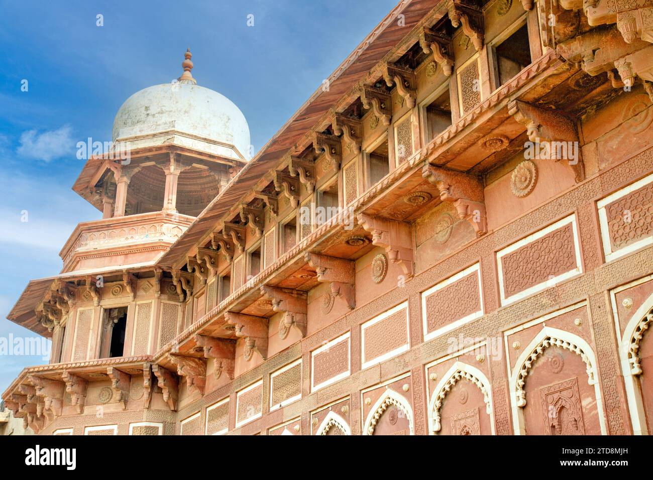 The Mosque or Masjid, stands to, the west of the Taj Mahal Stock Photo ...