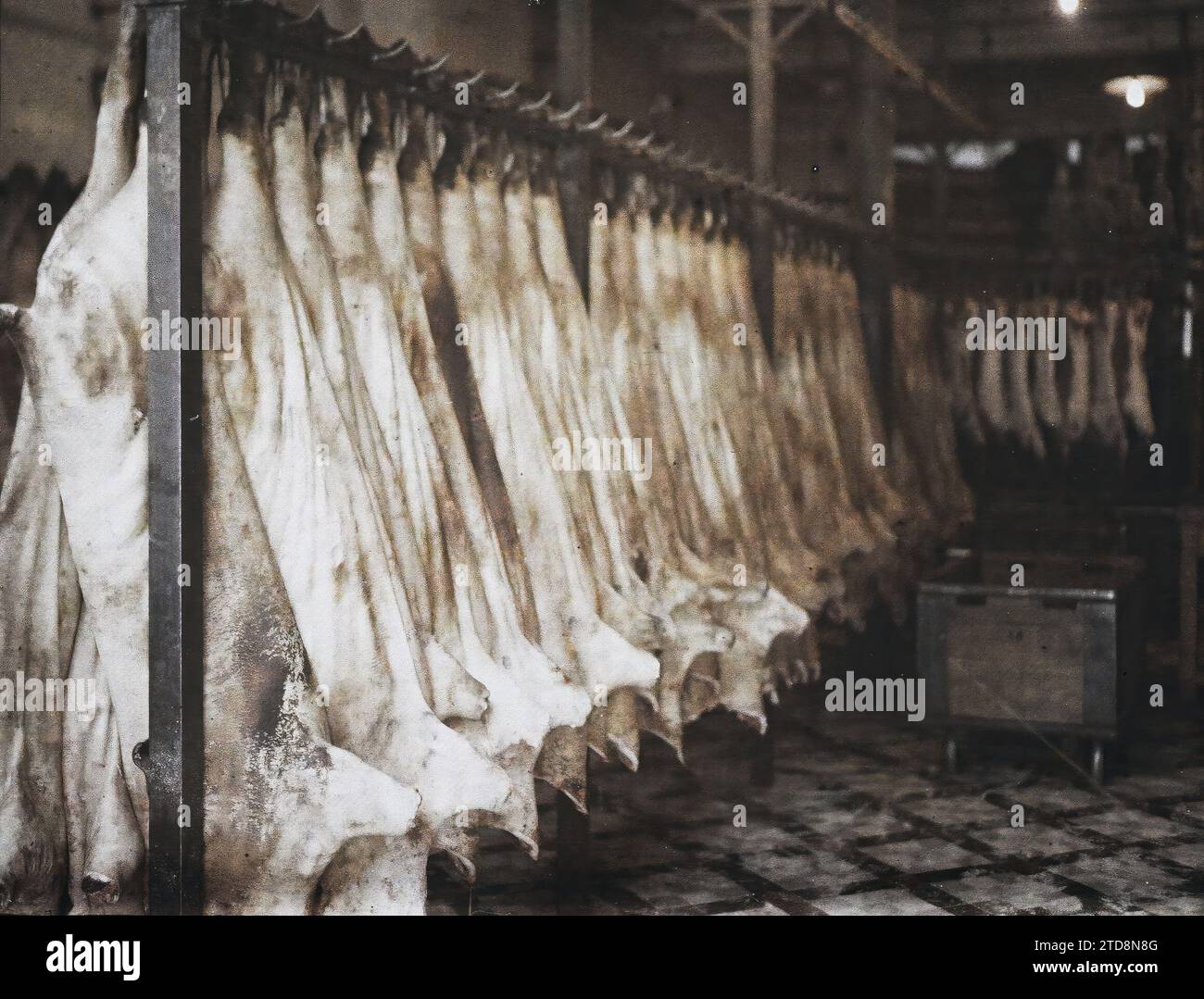 France hanged pigs hi-res stock photography and images - Alamy