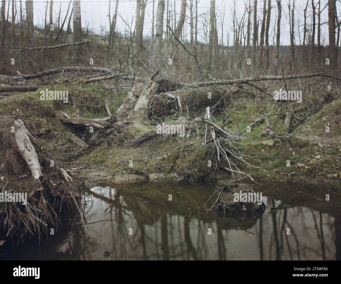 Thiescourt, France, First World War, Forest, wood, Body of water, Front ...