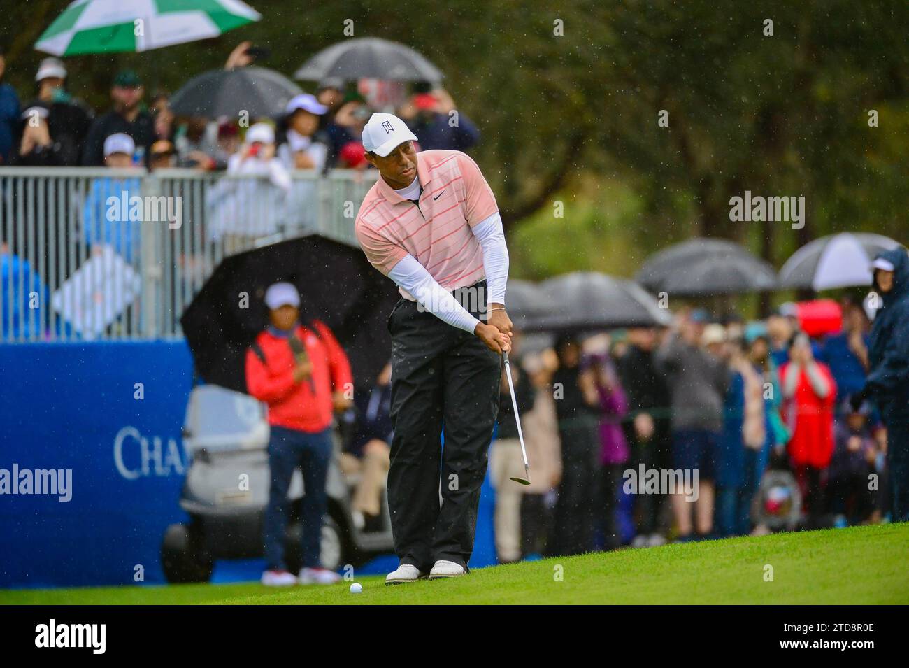 ORLANDO, FL DECEMBER 16 - Tiger Woods putts at the 18th hole during the ...