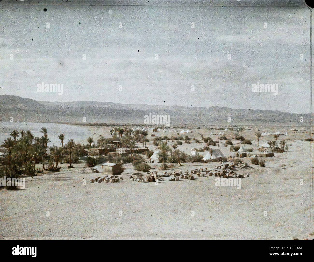 Aqaba, Arabia (current Jordan) The camp of the Anglo-Arab forces, on ...