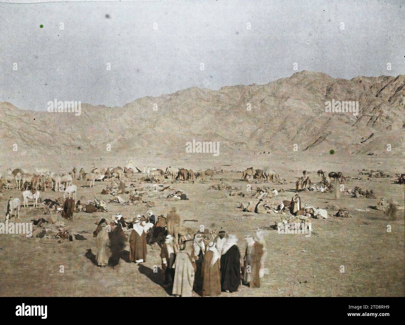 Emirs house arabia hi-res stock photography and images - Alamy