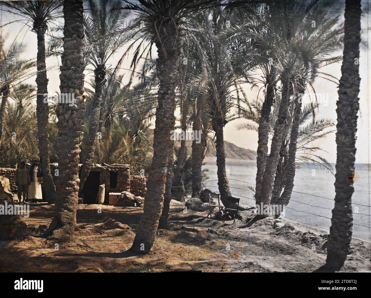 Palmeraie egypte hi-res stock photography and images - Alamy