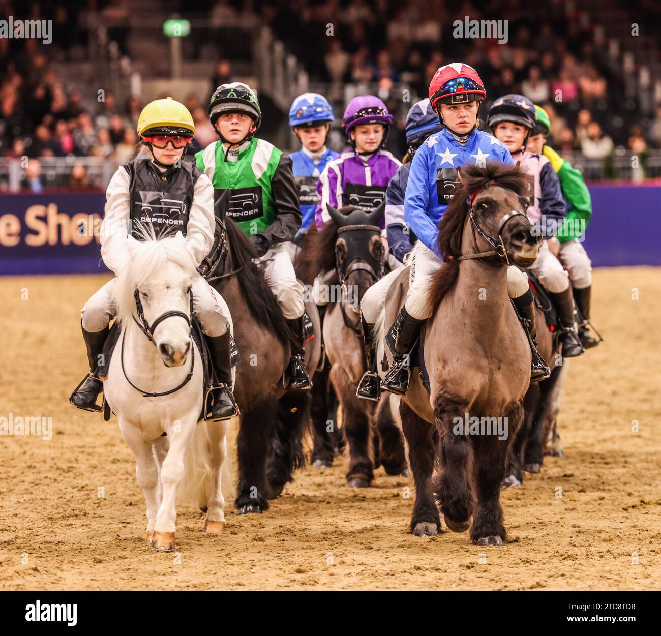 London Excel International Horse Show 17 Dec 2023 The Defender Shetland ...