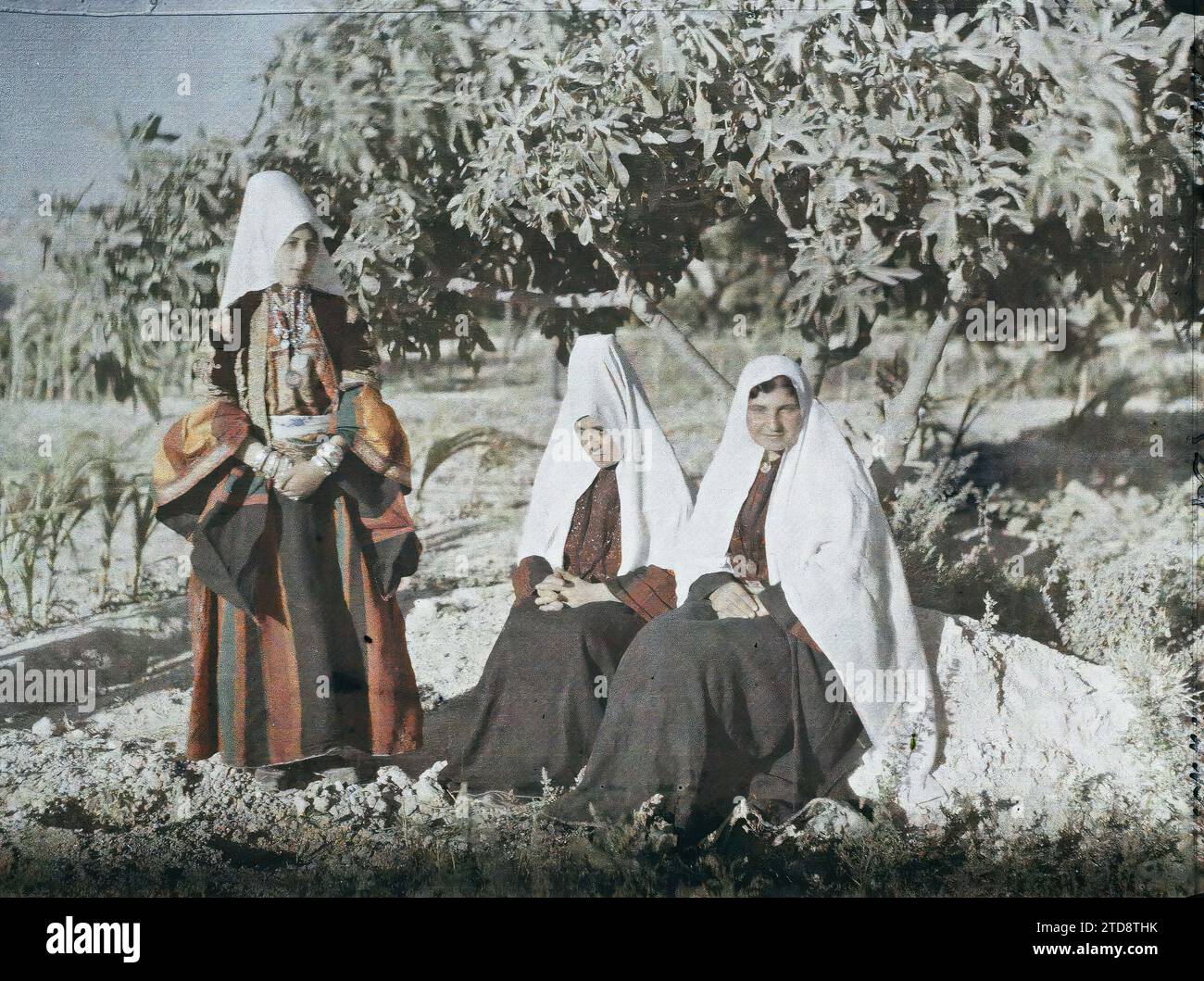 Palestine bethlehemchristian woman hi-res stock photography and images ...