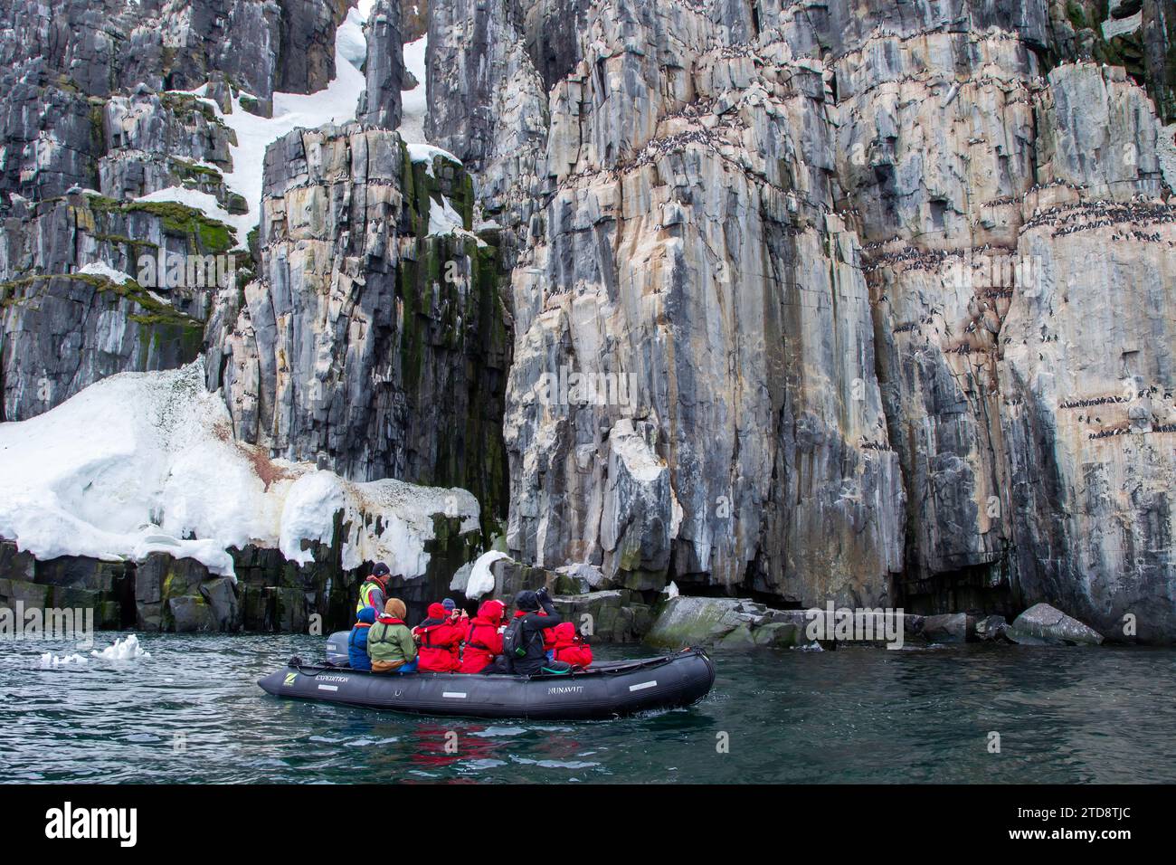Tourists on Arctic Adventure exploring Alkefjellet Bird Cliffs Stock ...