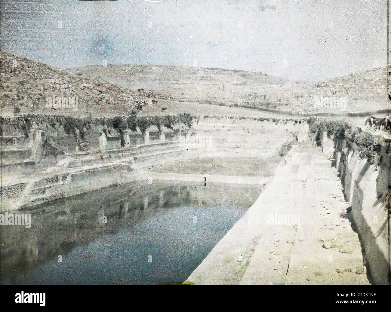 Surroundings of Bethlehem, Palestine One of the three so-called basins ...
