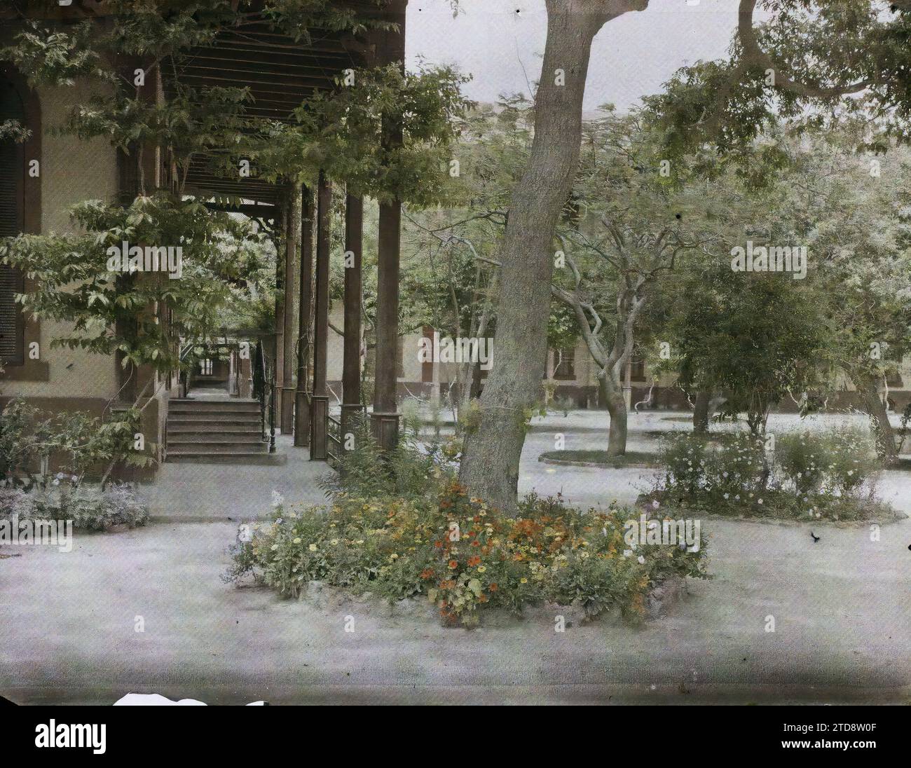 Ismailia, Egypt, Africa Saint Vincent de Paul Hospital, Colonial ...