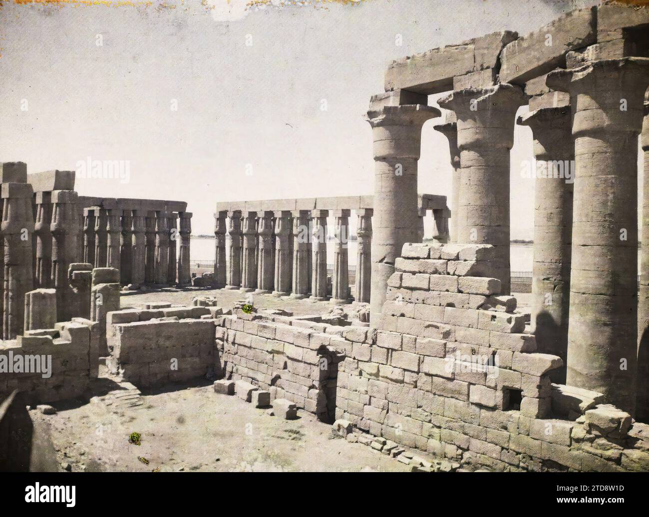 Amenophis iii louxor egypte hi-res stock photography and images - Alamy
