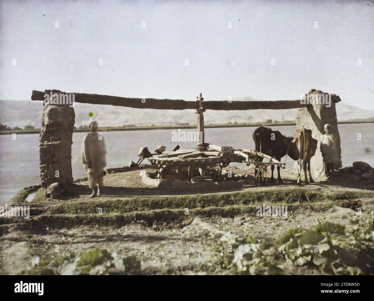 Costume agriculture breeding river beef irrigation child rural hi-res ...