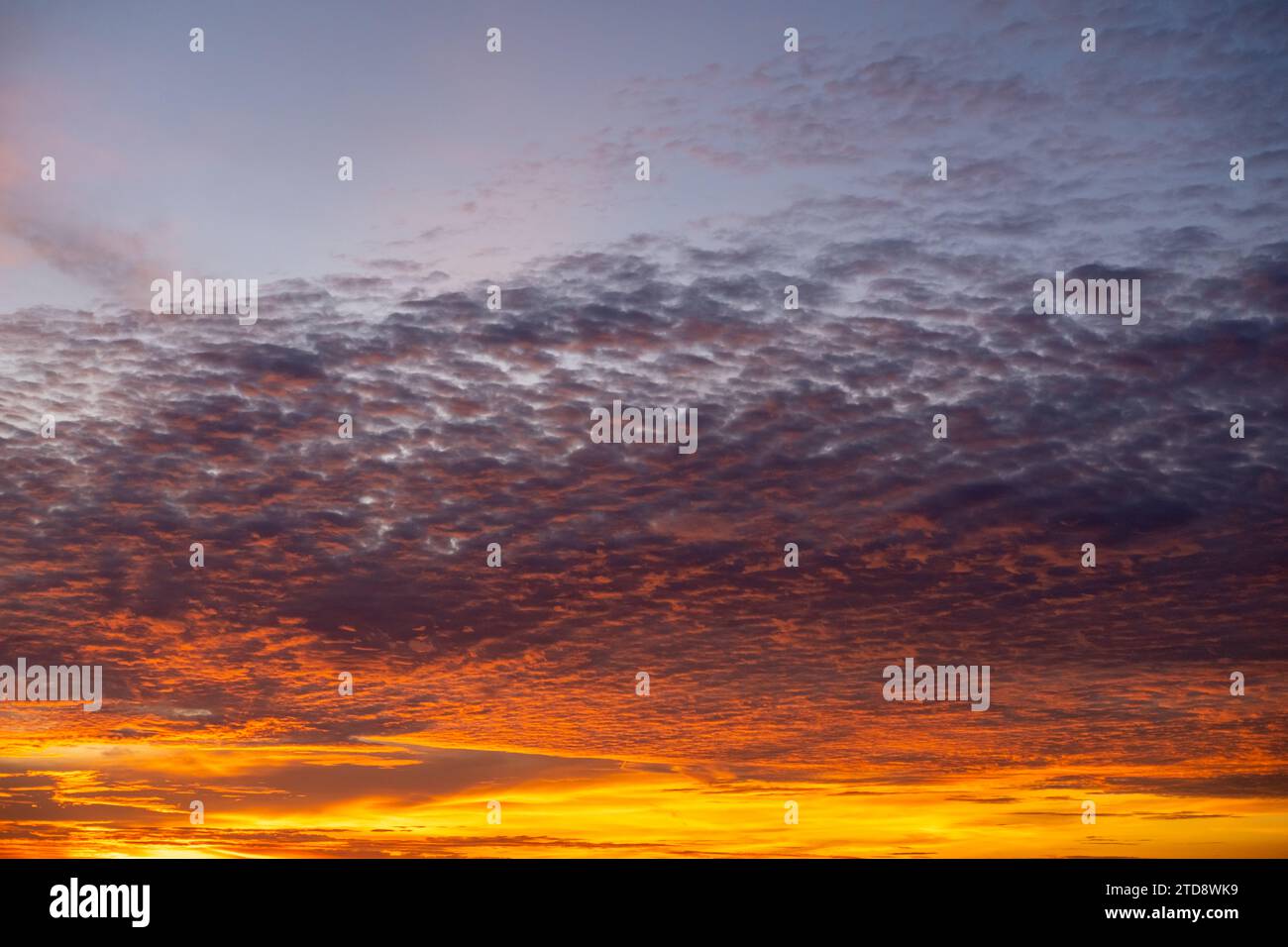 Beautiful sunset sky with cloud Stock Photo - Alamy