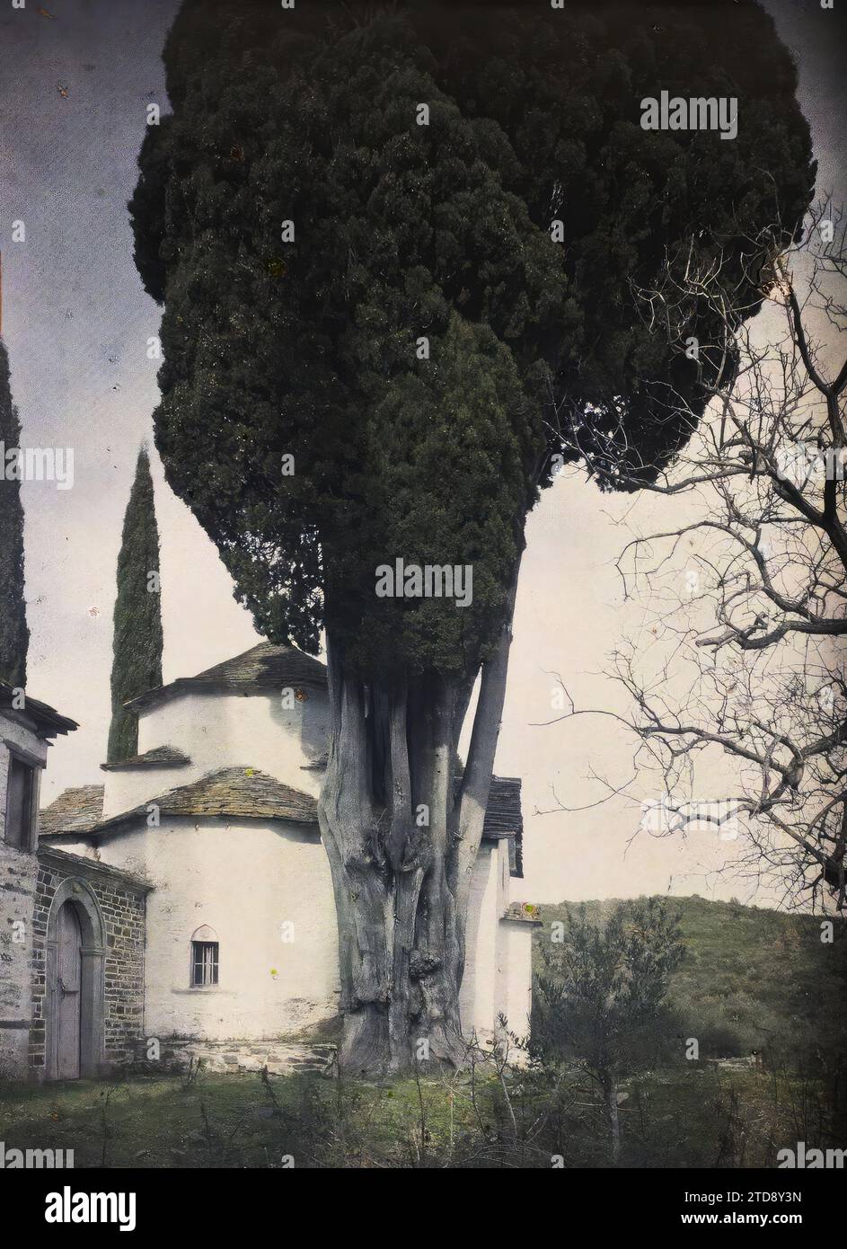 Christianity orthodox church monastery remarkable tree religious hi-res ...