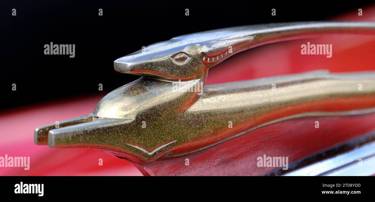 Bonnet mascot on restored classic vehicle at show Stock Photo - Alamy