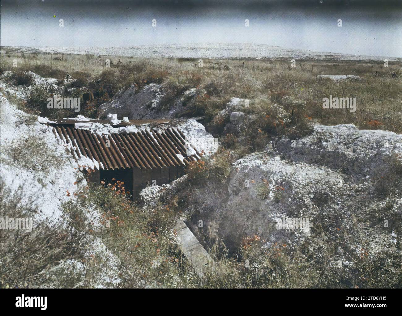 First world war poppy hi-res stock photography and images - Alamy