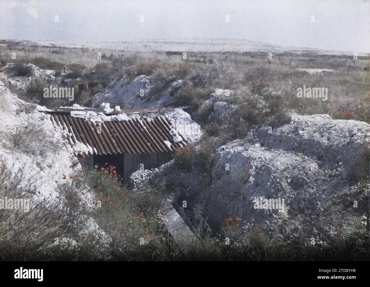 The trenches poppy hi-res stock photography and images - Alamy