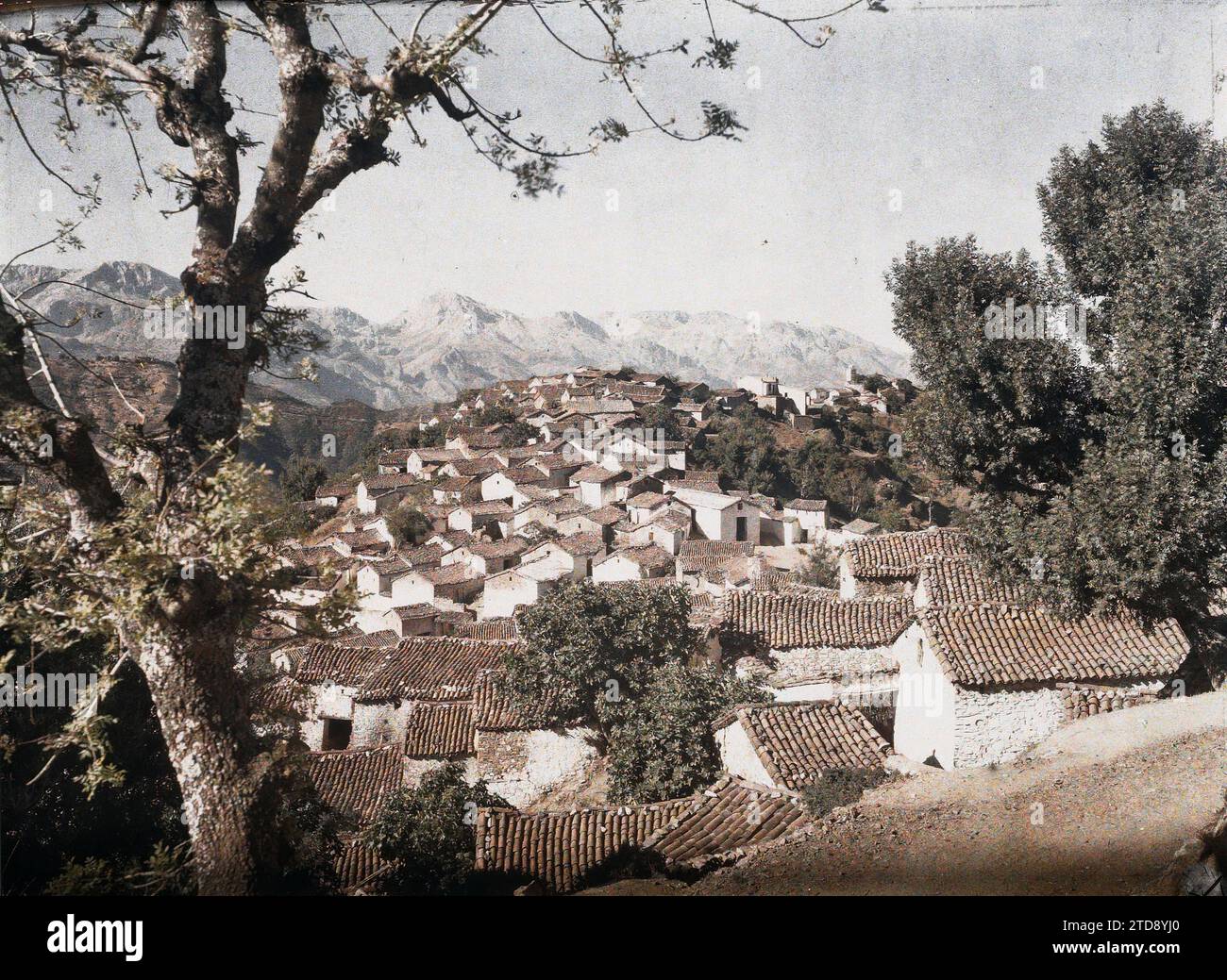 1909 ou 1910 algerie hi-res stock photography and images - Alamy