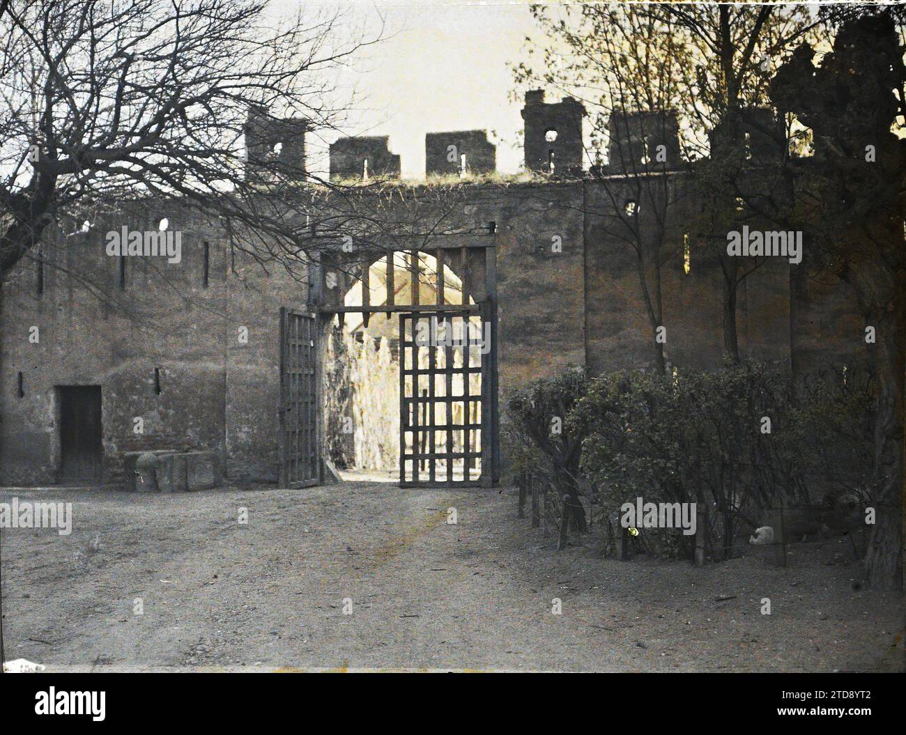 1913 balkans leon busy hi-res stock photography and images - Alamy