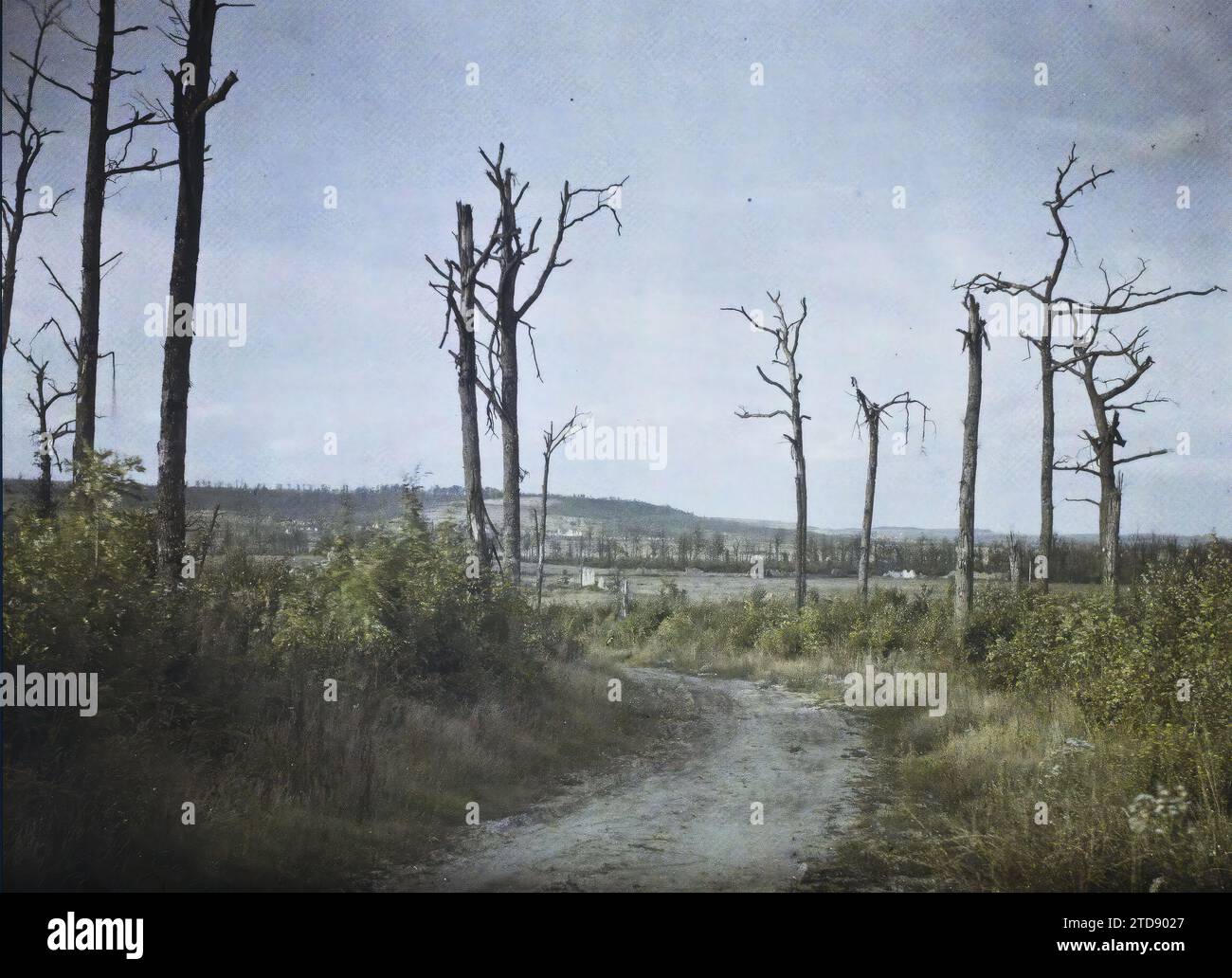 Foret de vauclere hi-res stock photography and images - Alamy