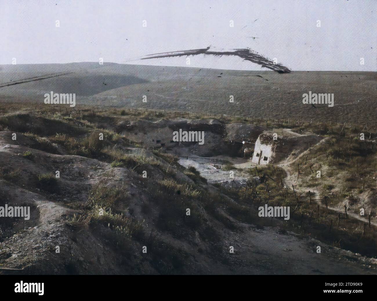 Fort de Vaux, France, Nature, Environment, First World War, Habitat ...