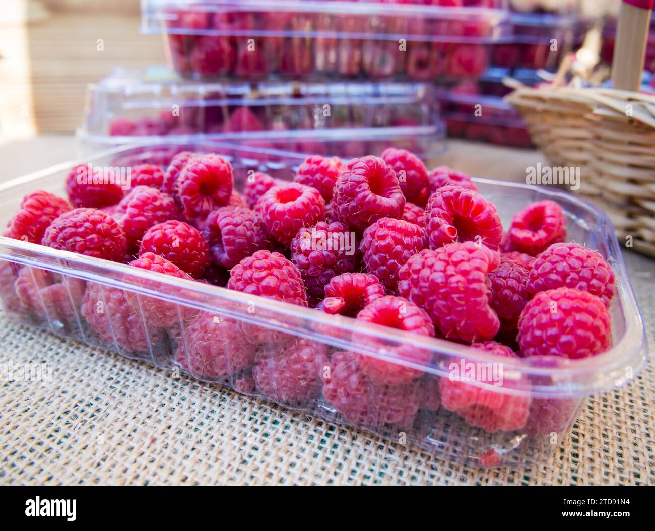 Selected raspberries in a transparent tray Stock Photo - Alamy