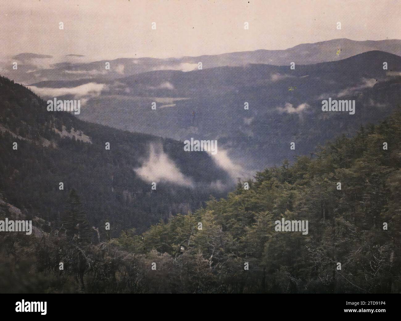 La Schlucht, Haut-Rhin, Alsace, France, Nature, Environment, Landscape ...