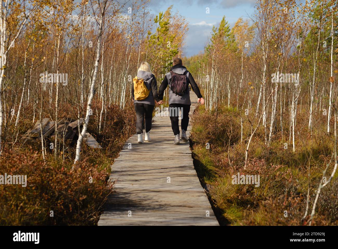 Two tourists walk along a wooden path in a swamp in Yelnya, Belarus ...