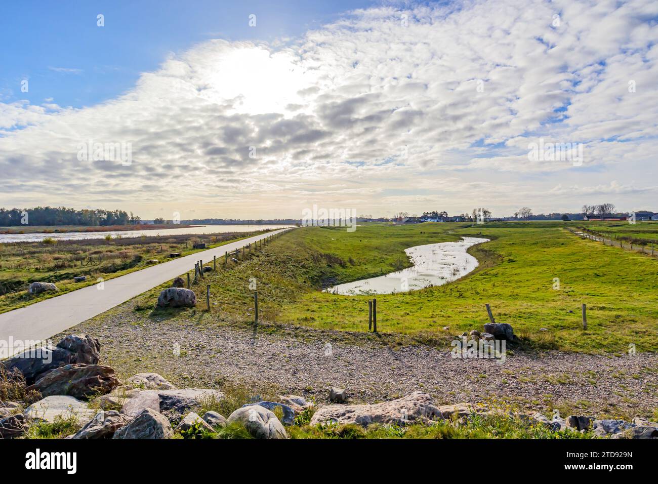 Panoramic landscape in Belgian nature reserve De Wissen Maasvallei ...