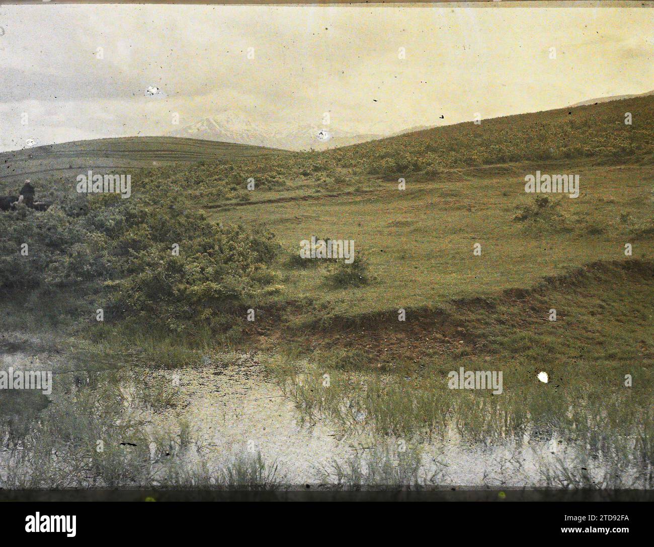 Char dagh hi-res stock photography and images - Alamy