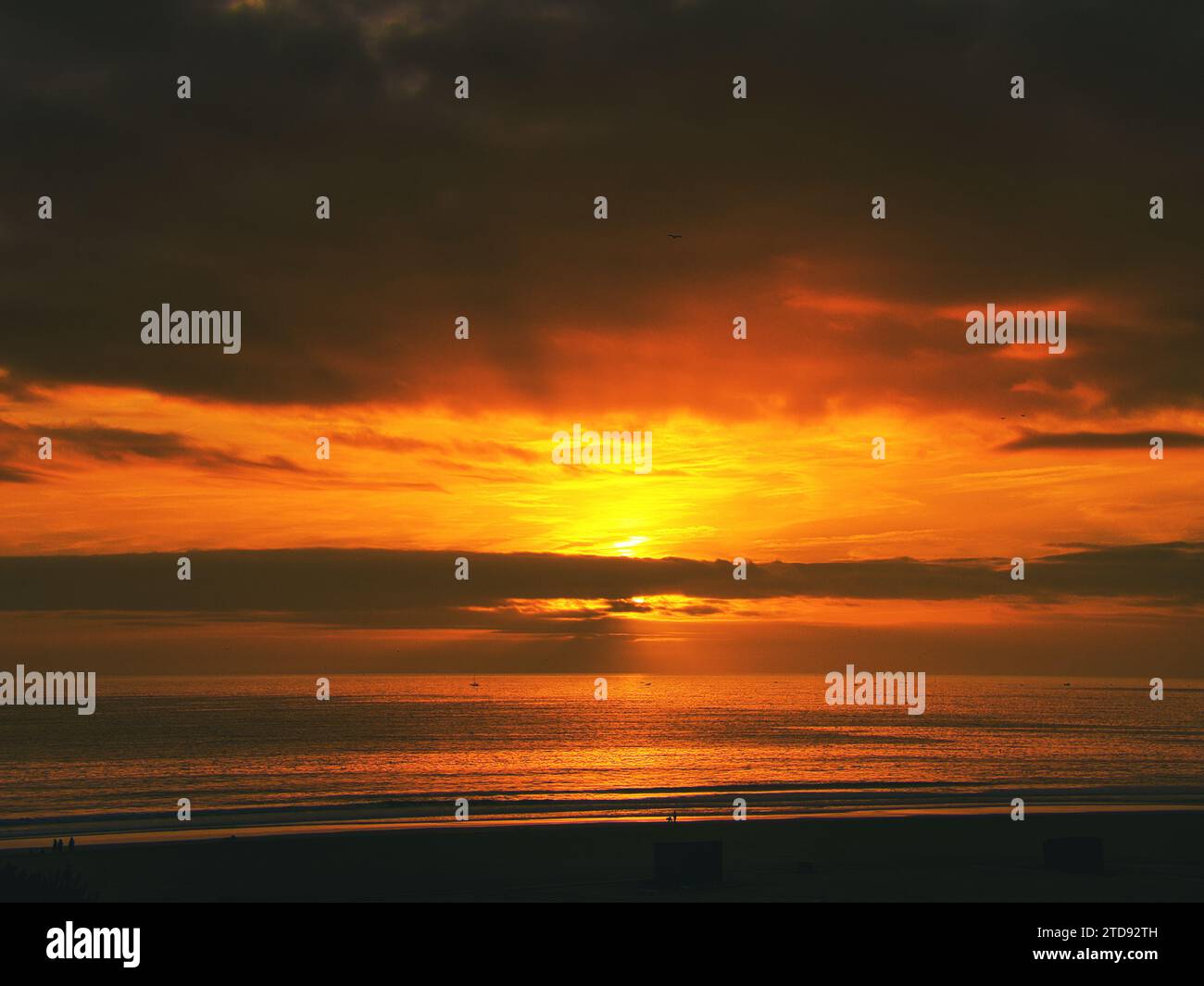 Golden sunset over a serene beach, with calm seas shimmering in hues of ...