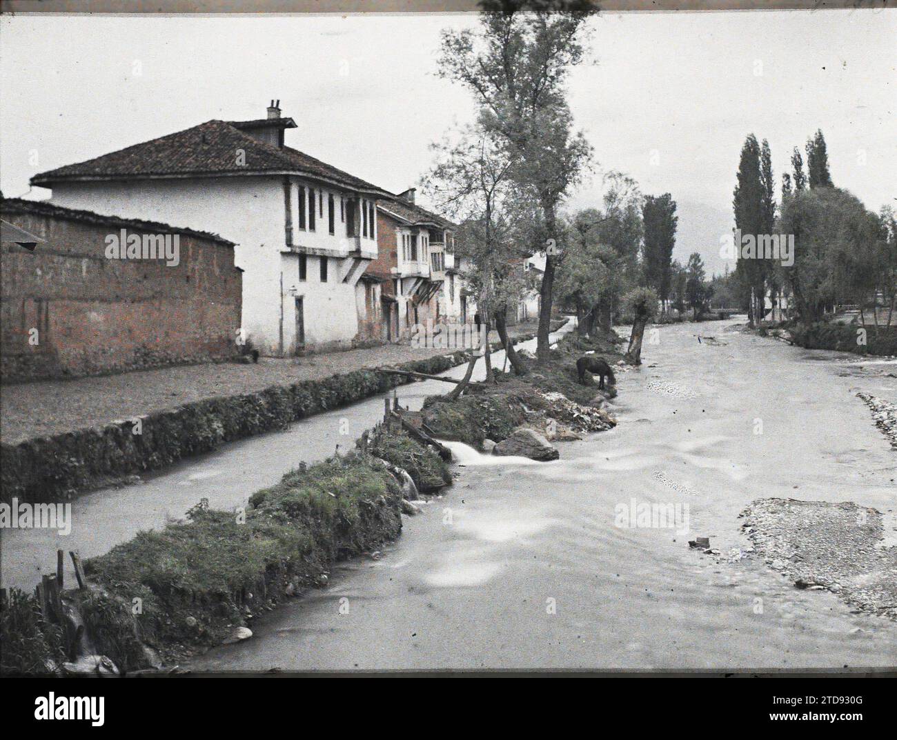 Prizren, Kosovo, Serbia The Bistrica and its side canal, Habitat ...