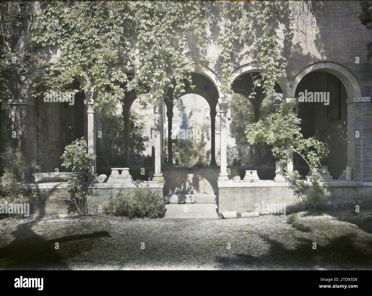 Juliet capuletti hi-res stock photography and images - Alamy