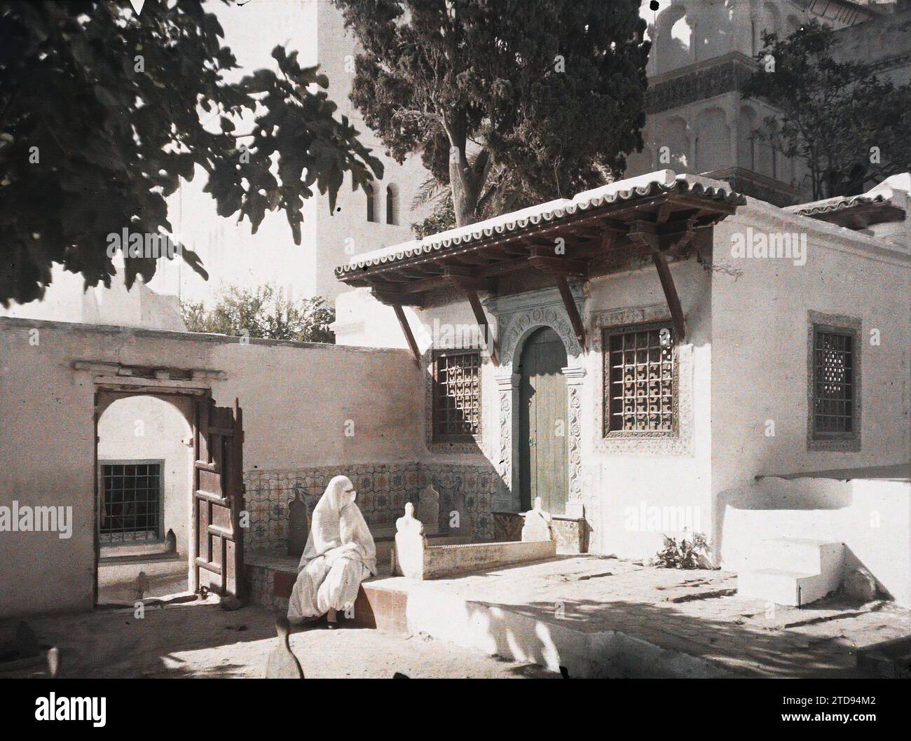 Algeria mosque zaouia hi-res stock photography and images - Alamy