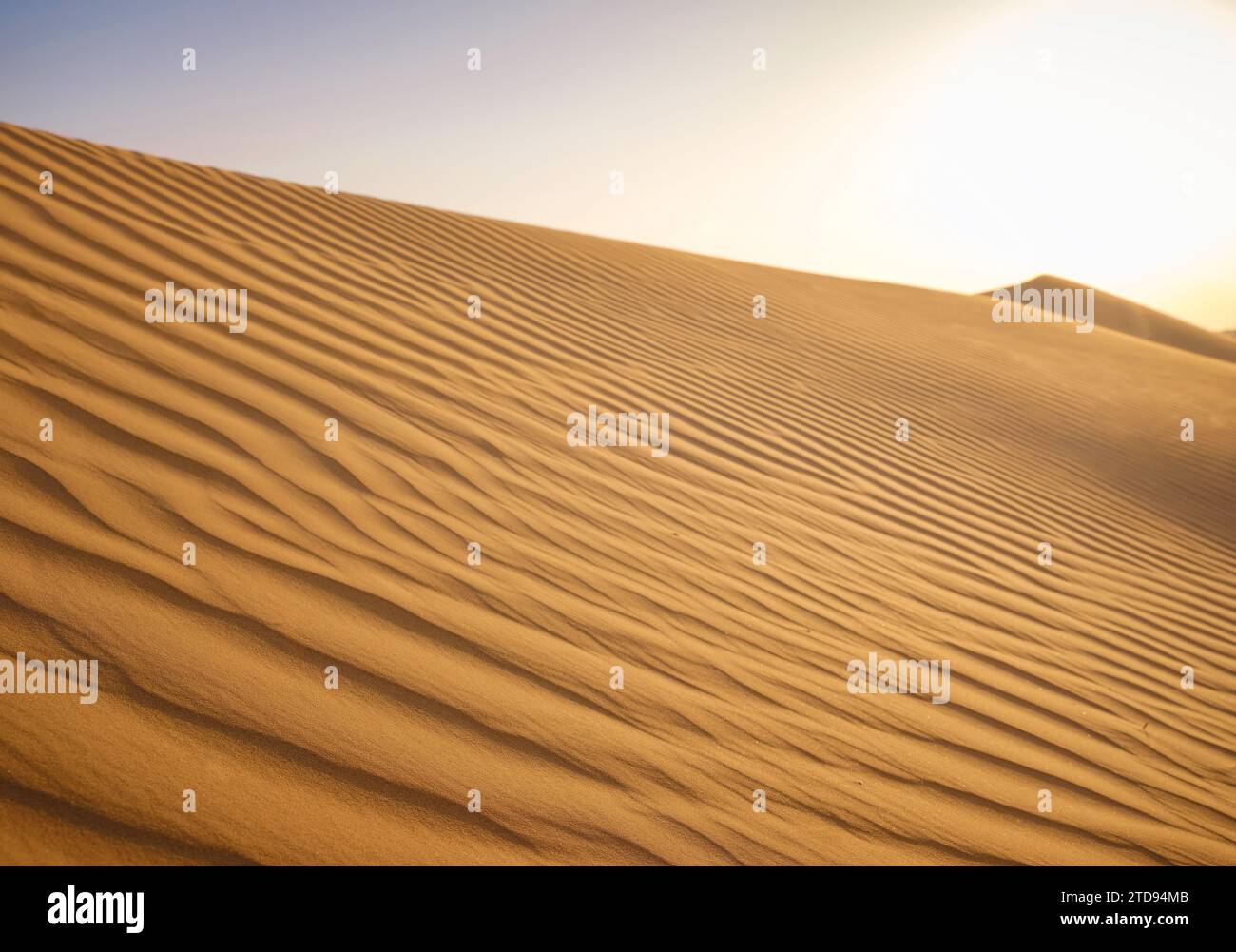 Fantastic view of Landscape with Sand Dune at sunset, Liwa Oasis, Abu ...