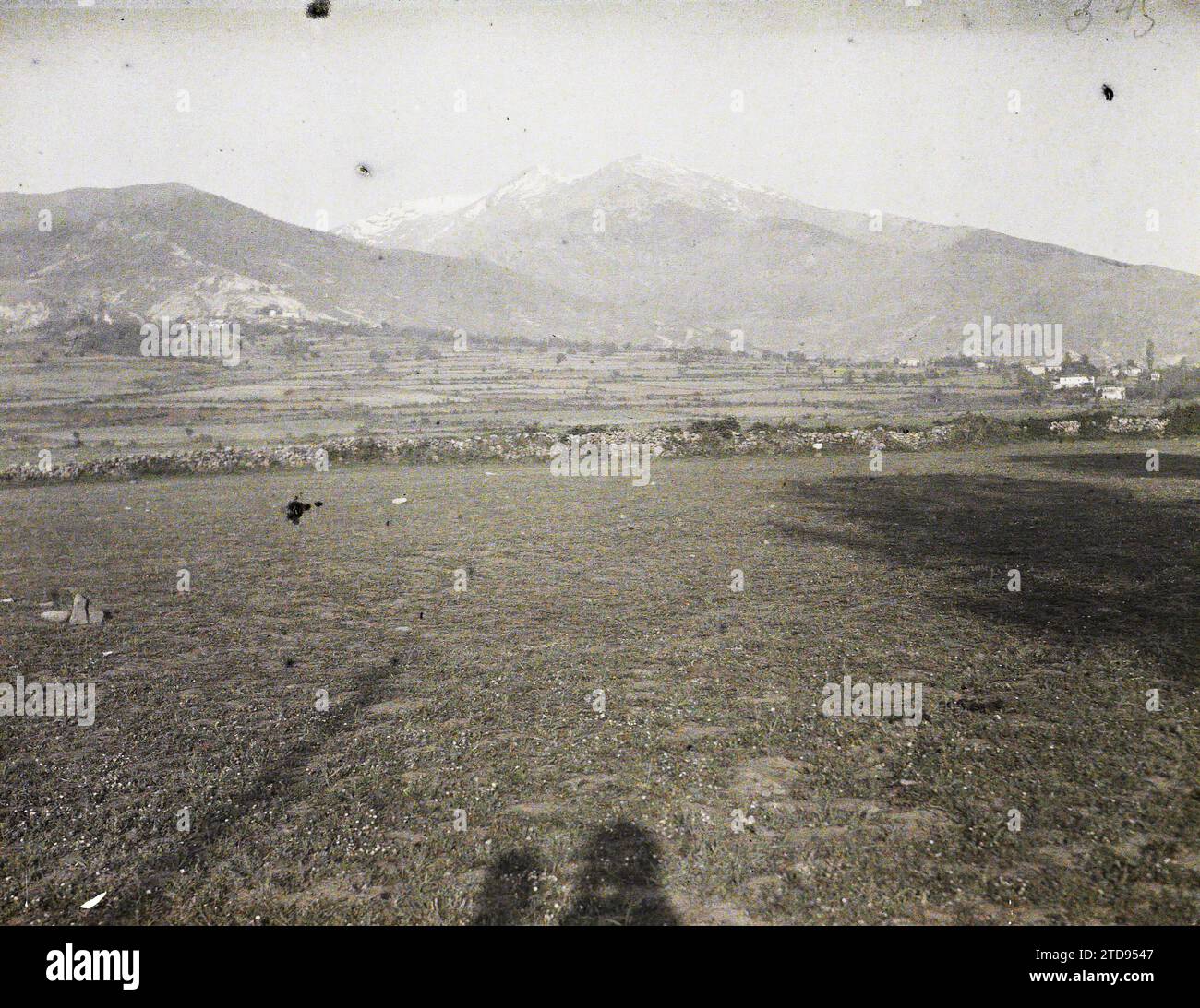 2td9547 hi-res stock photography and images - Alamy